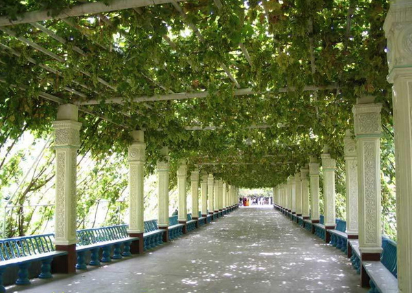 Photo, Image & Picture of Grape Valley Scenery