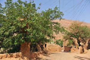 Photos, Images & Pictures of Turpan Tuyoq village, China Silk Road Xinjiang