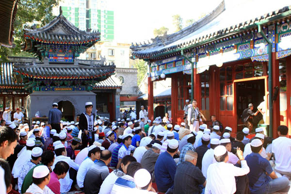 Photo, Image & Picture of Balram Scenery