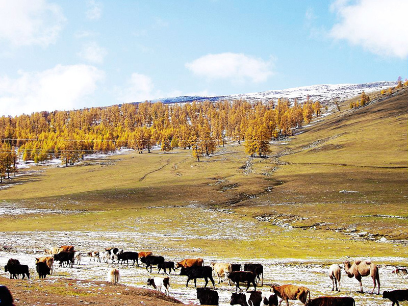 Photos, Images & Pictures of Hemu Village, China Silk Road Xinjiang