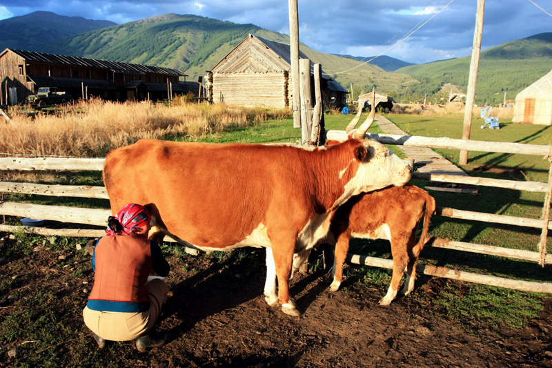 Photos, Images & Pictures of Tuwa Tribe, China Silk Road Xinjiang