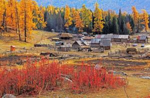 Photos, Images & Pictures of Tuwa Tribe, China Silk Road Xinjiang