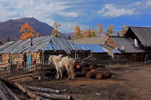 Photos, Images & Pictures of Tuwa Tribe, China Silk Road Xinjiang
